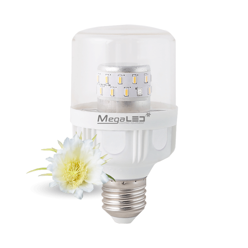 Giải pháp chiếu sáng thanh long - MegaLed